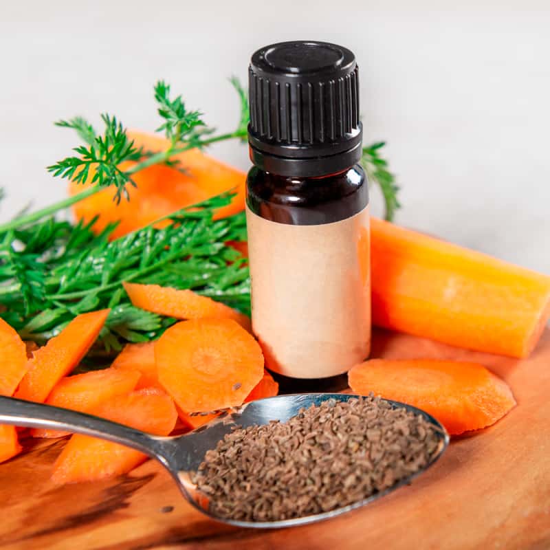 Carrot Seed Essential Oil – SKYNBotanics